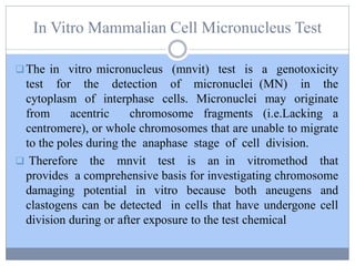 Genotoxicity studies | PPTX