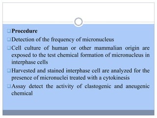 Genotoxicity studies | PPTX