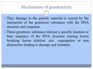 Genotoxicity studies | PPTX