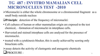 Genotoxicity studies | PPTX