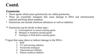 Genotoxicity studies and DNA damage.pptx