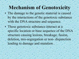Genotoxicity studies according to oecd guildline. | PPTX
