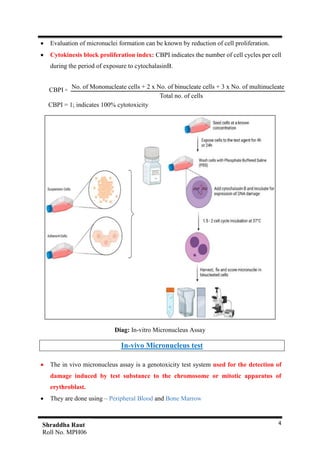Genotoxicity Study (Micronucleus Test).docx