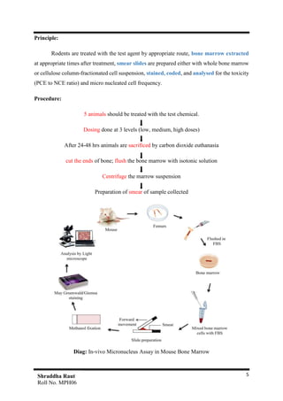 Genotoxicity Study (Micronucleus Test).docx