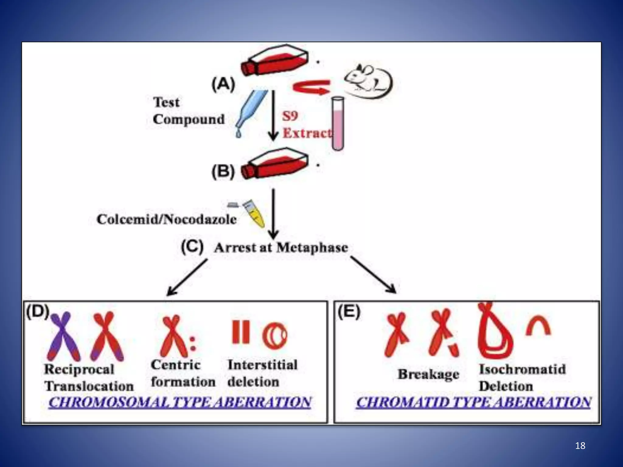 Genotoxicity test | PPTX