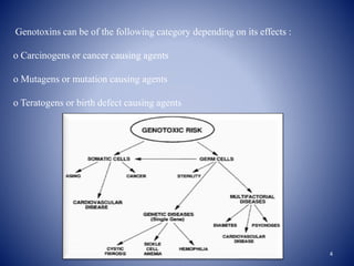 Genotoxicity test | PPTX