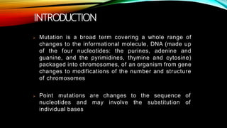 Genotoxicology | PPTX