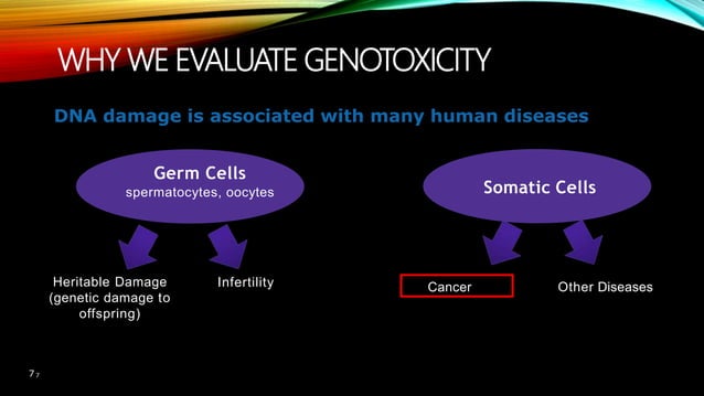Genotoxicology | PPTX | Chemistry | Science