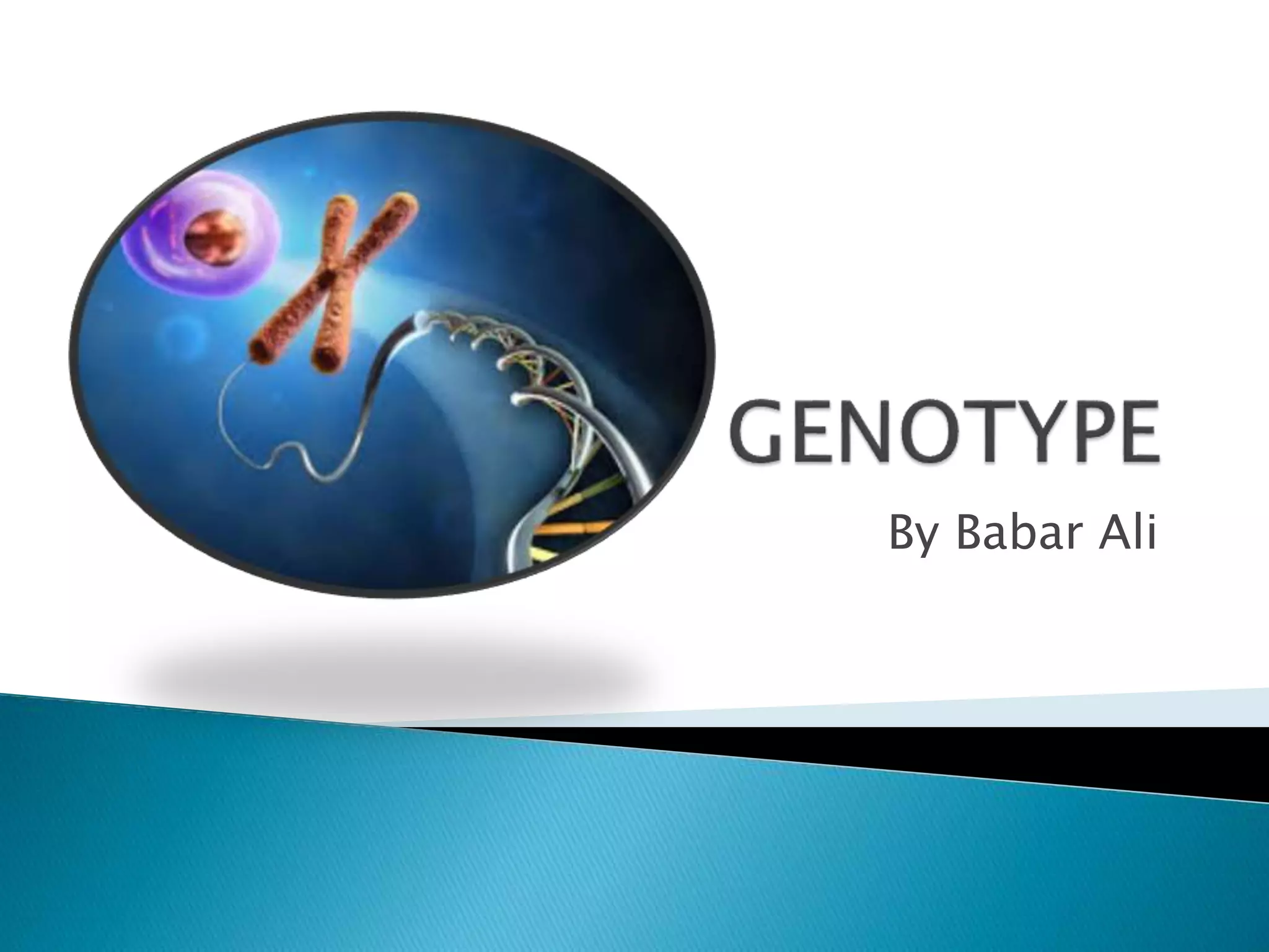 Genotype | PPTX