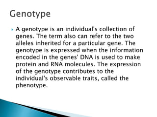 Genotype | PPTX