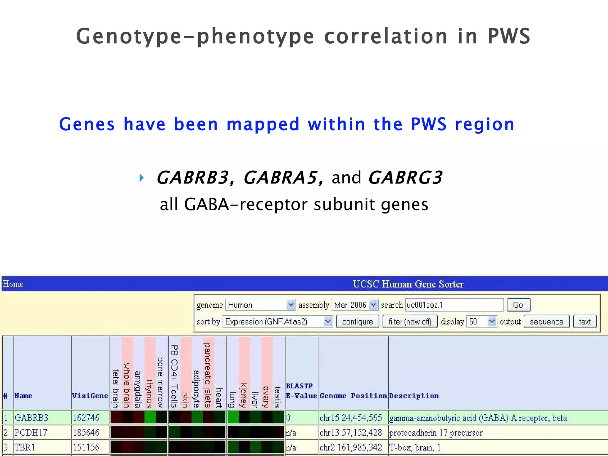 Genotype Phenotype Correlation In Prader Willi Syndrome | PPT