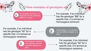 GENOTYPE is about tow traits being passed to Thier offspring. | PPT
