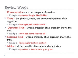 Genotype and phenotype | PPT