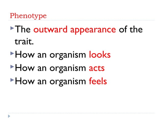 Genotype and phenotype | PPT | Genetics | Science
