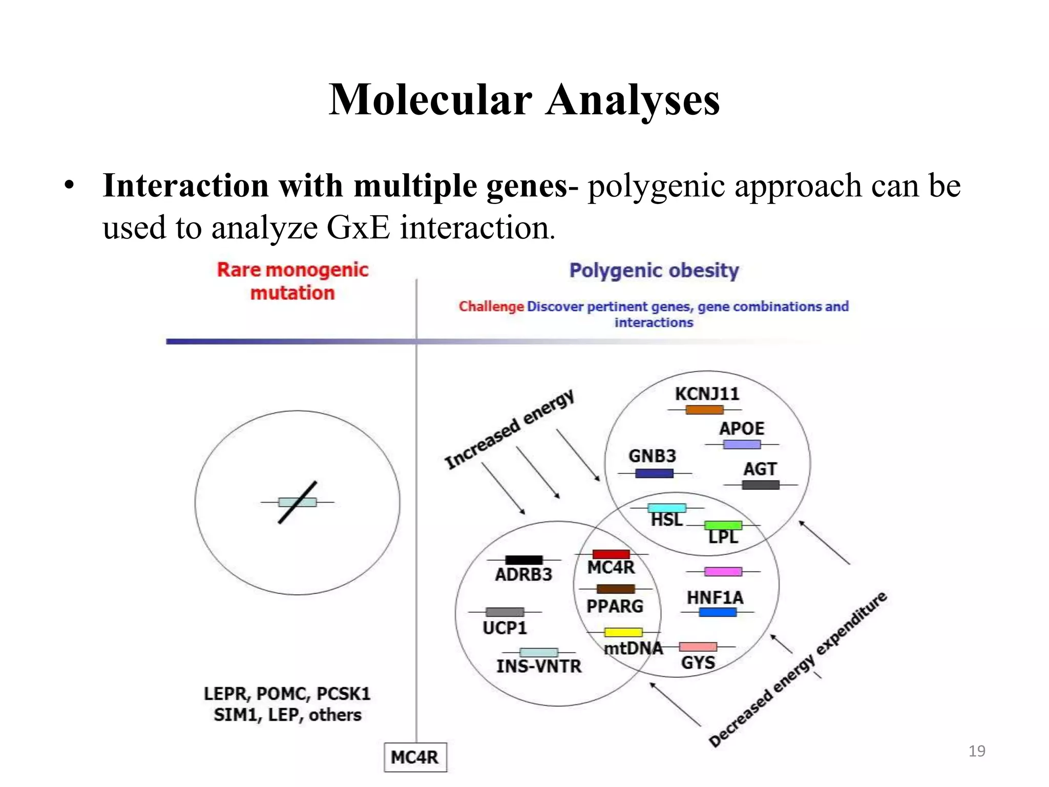 Genotype environment interaction | PPTX
