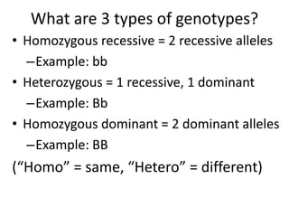Genotypes and phenotypes | PPTX