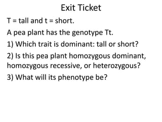 Genotypes and phenotypes | PPTX