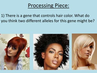 Genotypes and phenotypes | PPTX