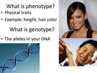 Genotypes and phenotypes | PPTX