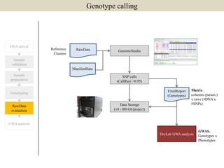 High throughput genotyping | PPT