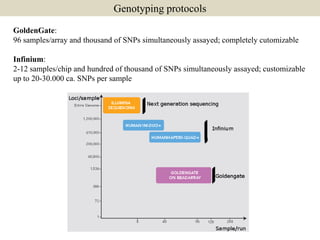 High throughput genotyping | PPT