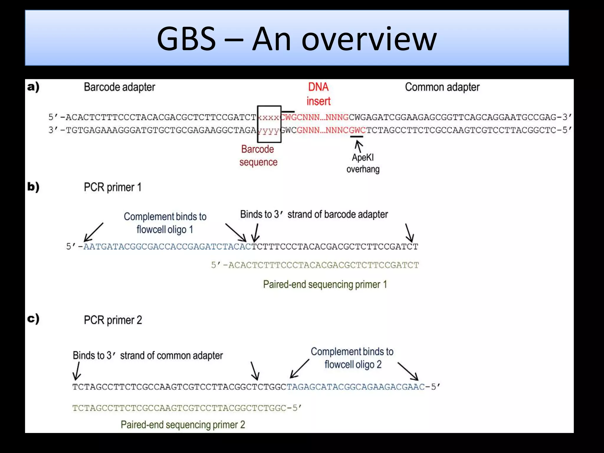 Genotyping by sequencing | PPTX | Genetics | Science