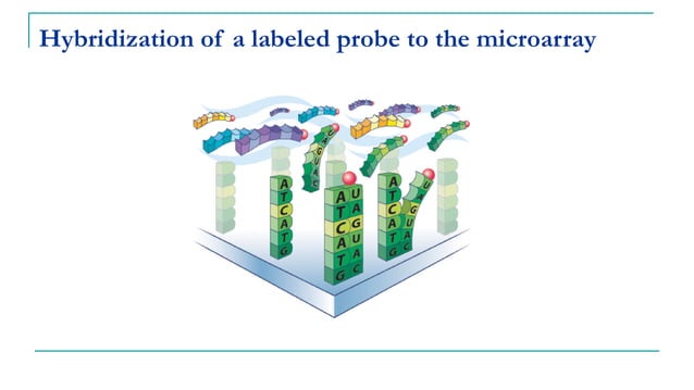 Genotyping, linkage mapping and binary data | PPT