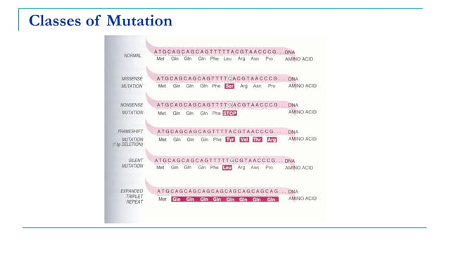 Genotyping, linkage mapping and binary data | PPT