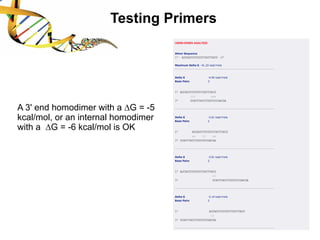Genotyping a deletion mutation in C. elegans via PCR | PPT