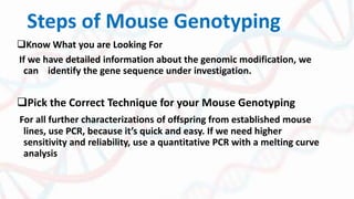 Genotyping With PCR | PPTX