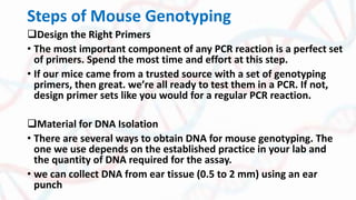 Genotyping With PCR | PPTX