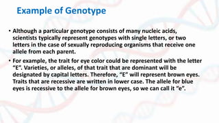 Genotyping With PCR | PPTX