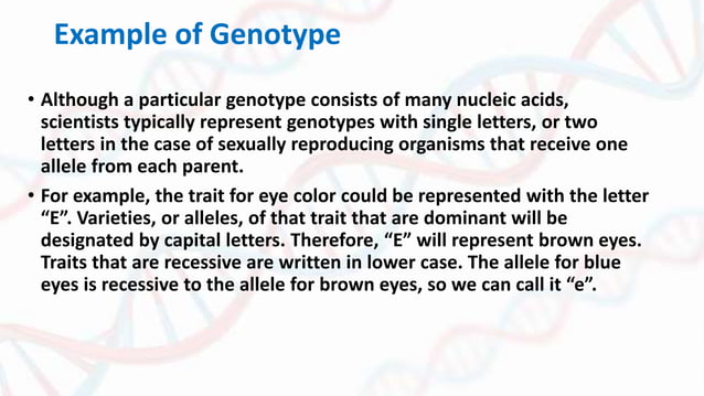 Genotyping With PCR | PPTX | Chemistry | Science