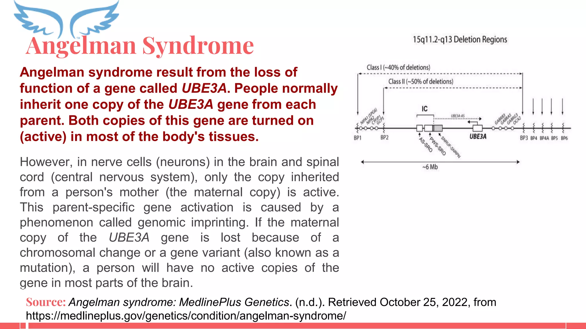 Genetic Disorders Pathology | PPTX