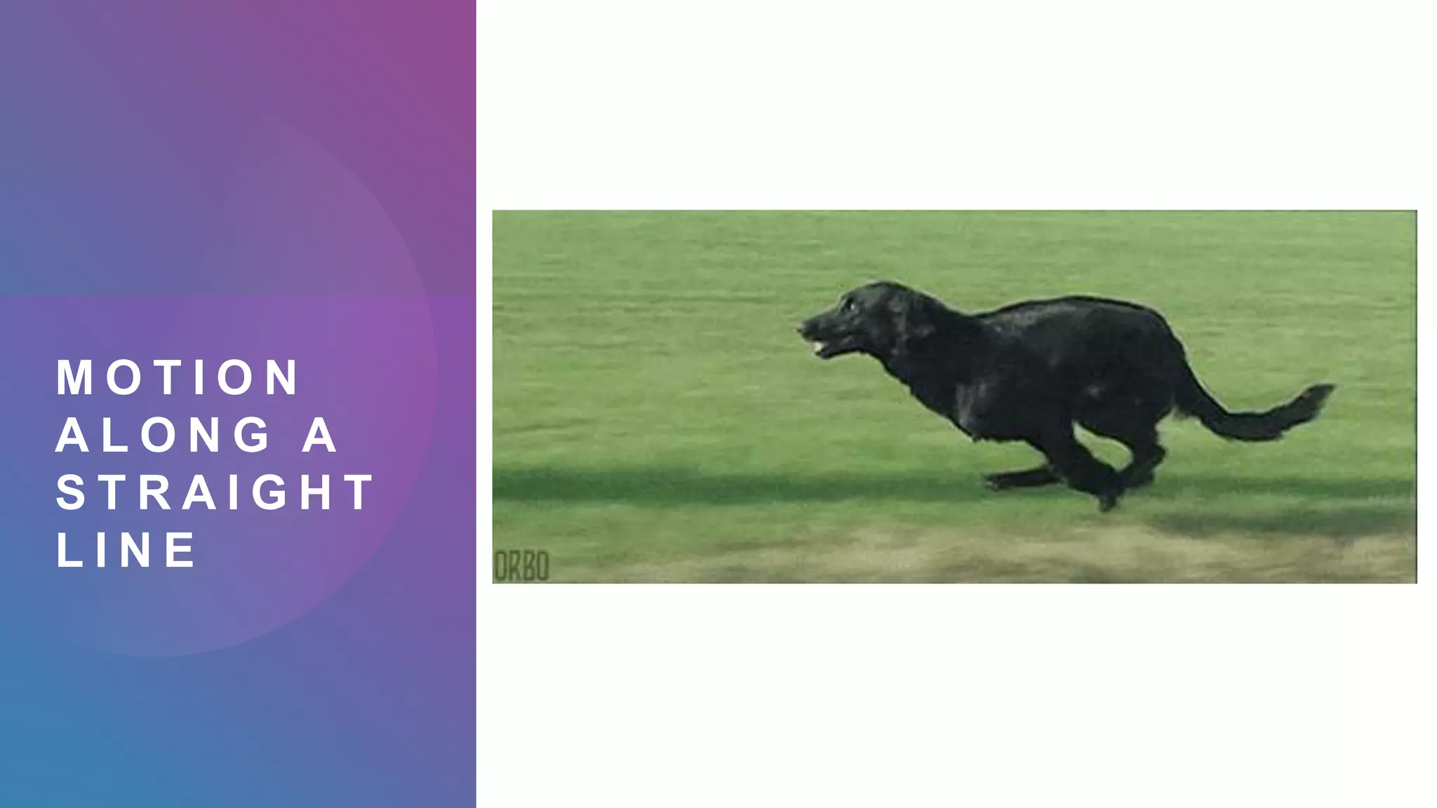 GEN PHYSICS 1 WEEK 2 KINEMATICS IN ONE DIMENSION.pptx