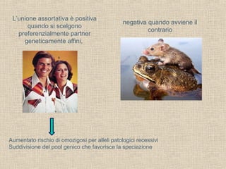 Genetica di popolazioni 3 | PPT