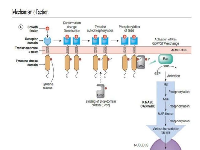 Genral pharmacology | PPT