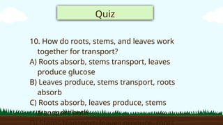 GenSci_Q3_Lesson-3_Plant-Organ-Systems.pptx