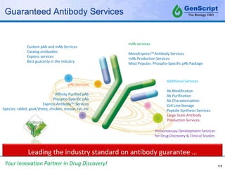 Genscript overview 030110[1] | PPT