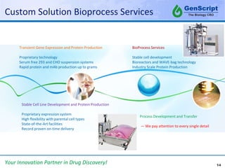 Genscript overview 030110[1] | PPT