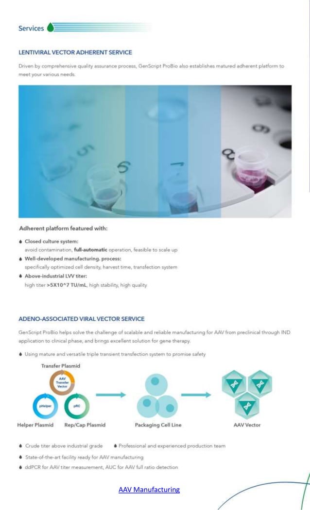 GenScript ProBio-Safe Delivery of Lentiviral Vectors in Gene and Cell Therapy | PDF