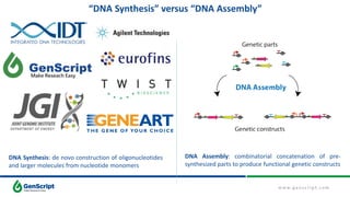 A guide to harnessing dna assembly for drug discovery | PPT