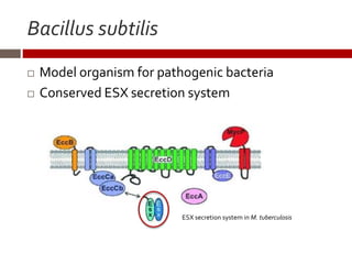 Gen Selden Sigma Xi 2015 | PPTX