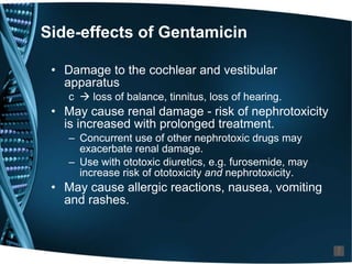 Gentamicin and the Yorkshire-Hartford Regimen | PPS