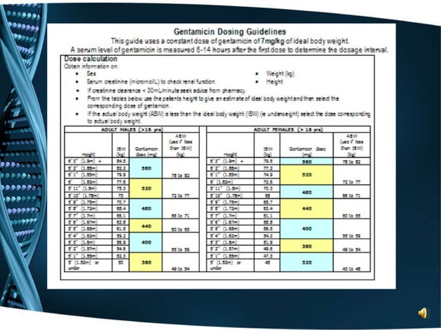 Gentamicin and the Yorkshire-Hartford Regimen