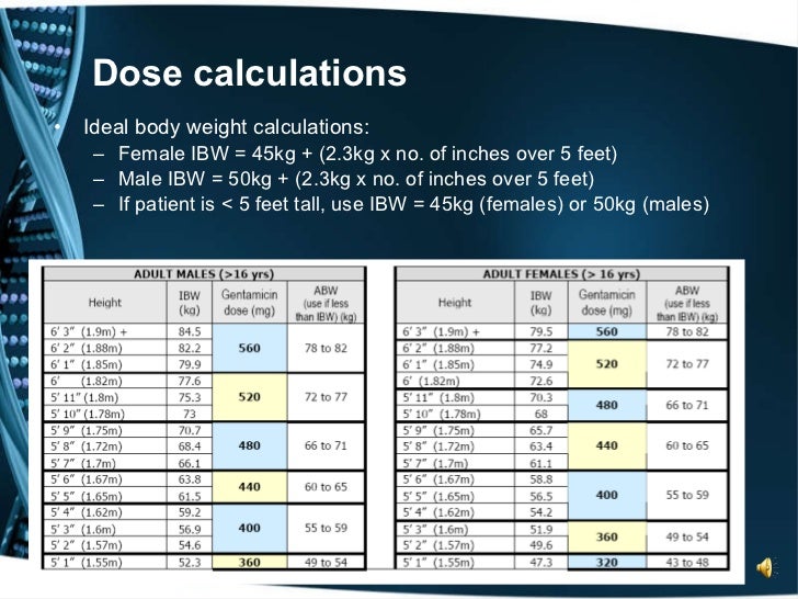 Gentamicin and the Yorkshire-Hartford Regimen