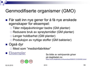 Genteknologi, Restriksjonsenzymer Og Gmo 2010 | PPSX