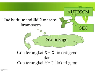 Gen Terpaut Seks dan Pewarisan Autosom | PPTX