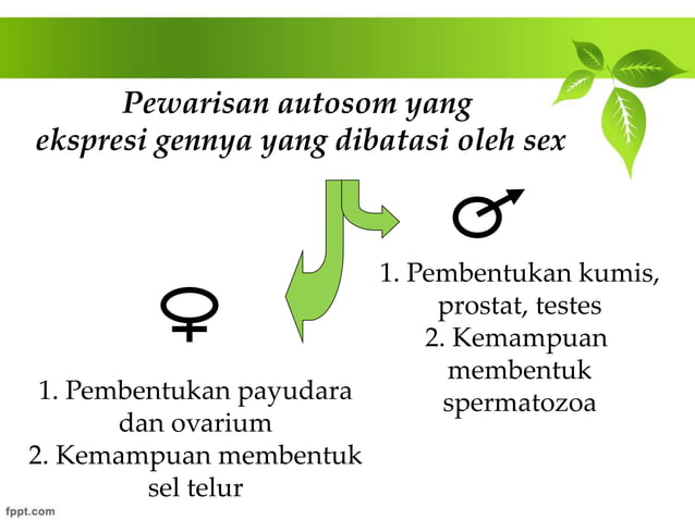 Gen Terpaut Seks dan Pewarisan Autosom | PPTX