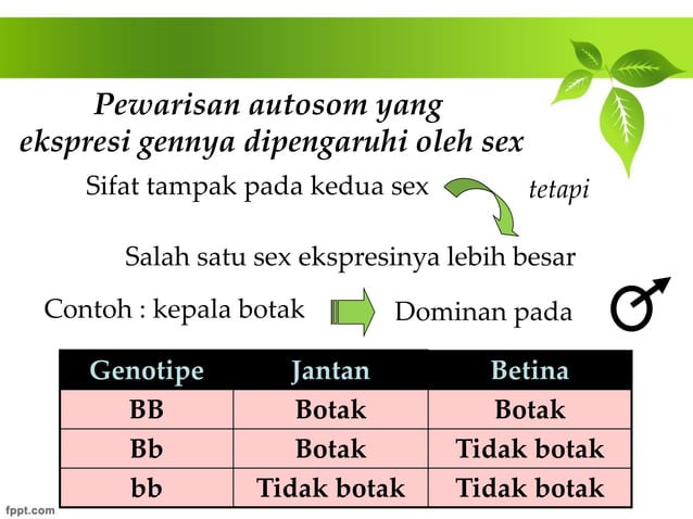 Gen Terpaut Seks dan Pewarisan Autosom | PPTX